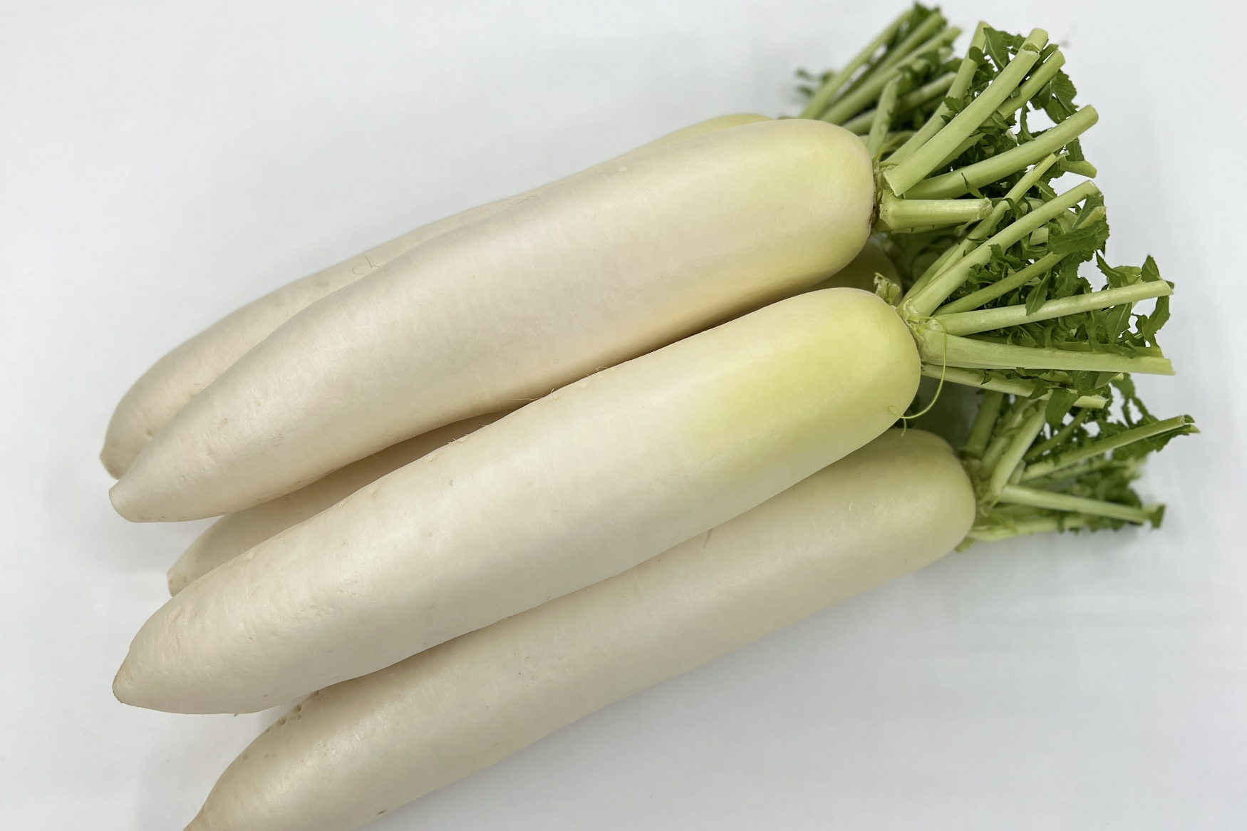 Japanese radish (daikon) - Tasty KAGOSHIMA JAPAN
